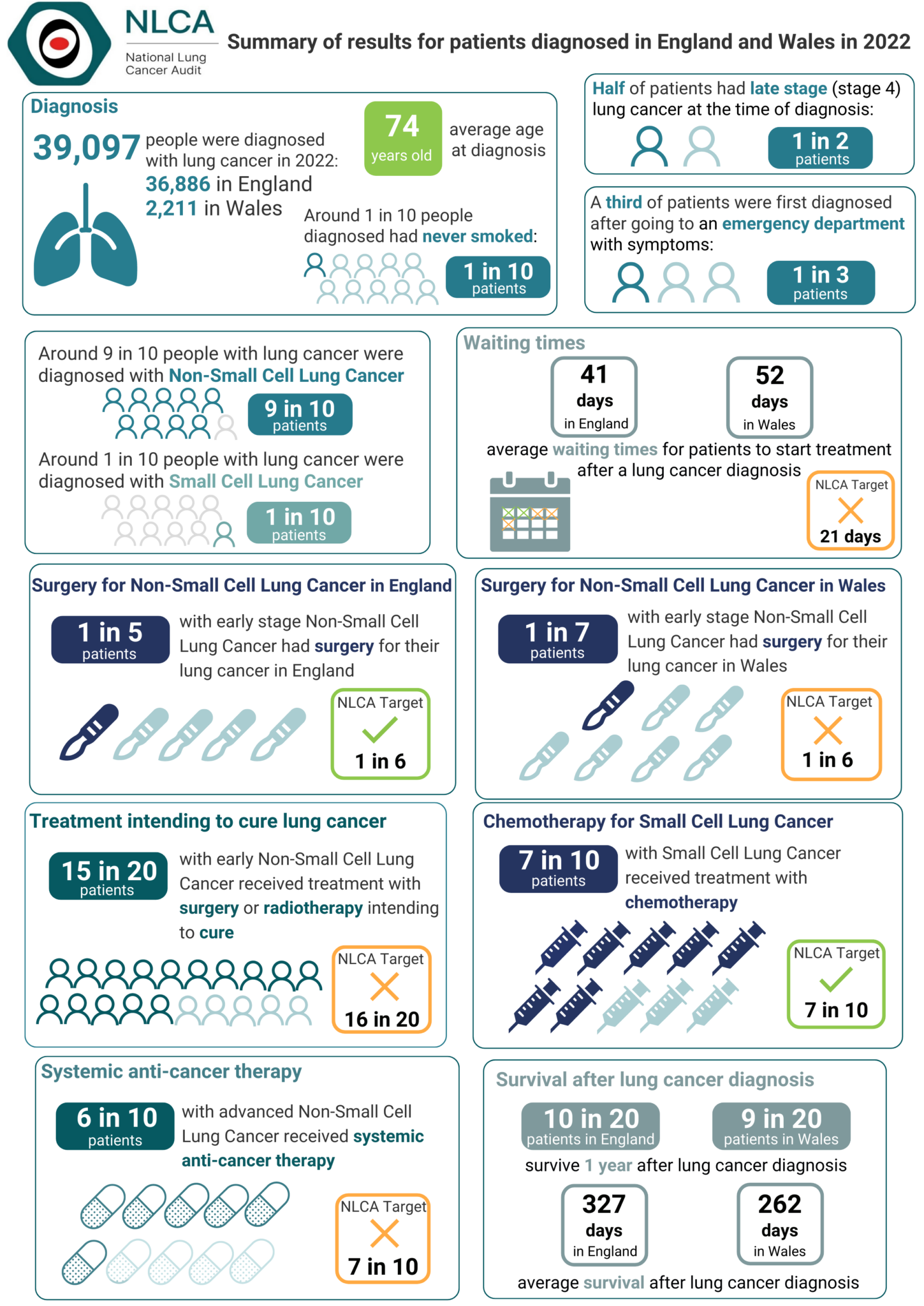 Nlca Patient And Public Report 2024 National Lung Cancer Audit